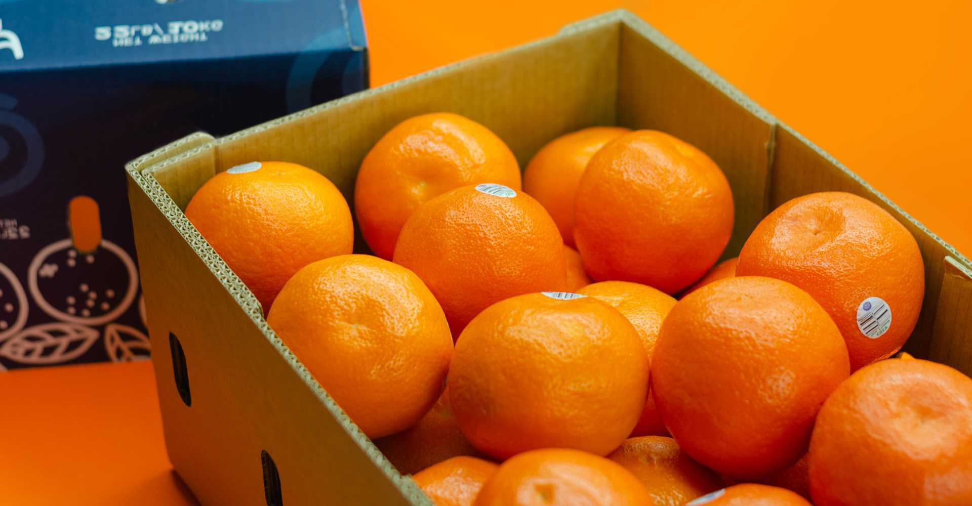 Citrus - Joy Produce