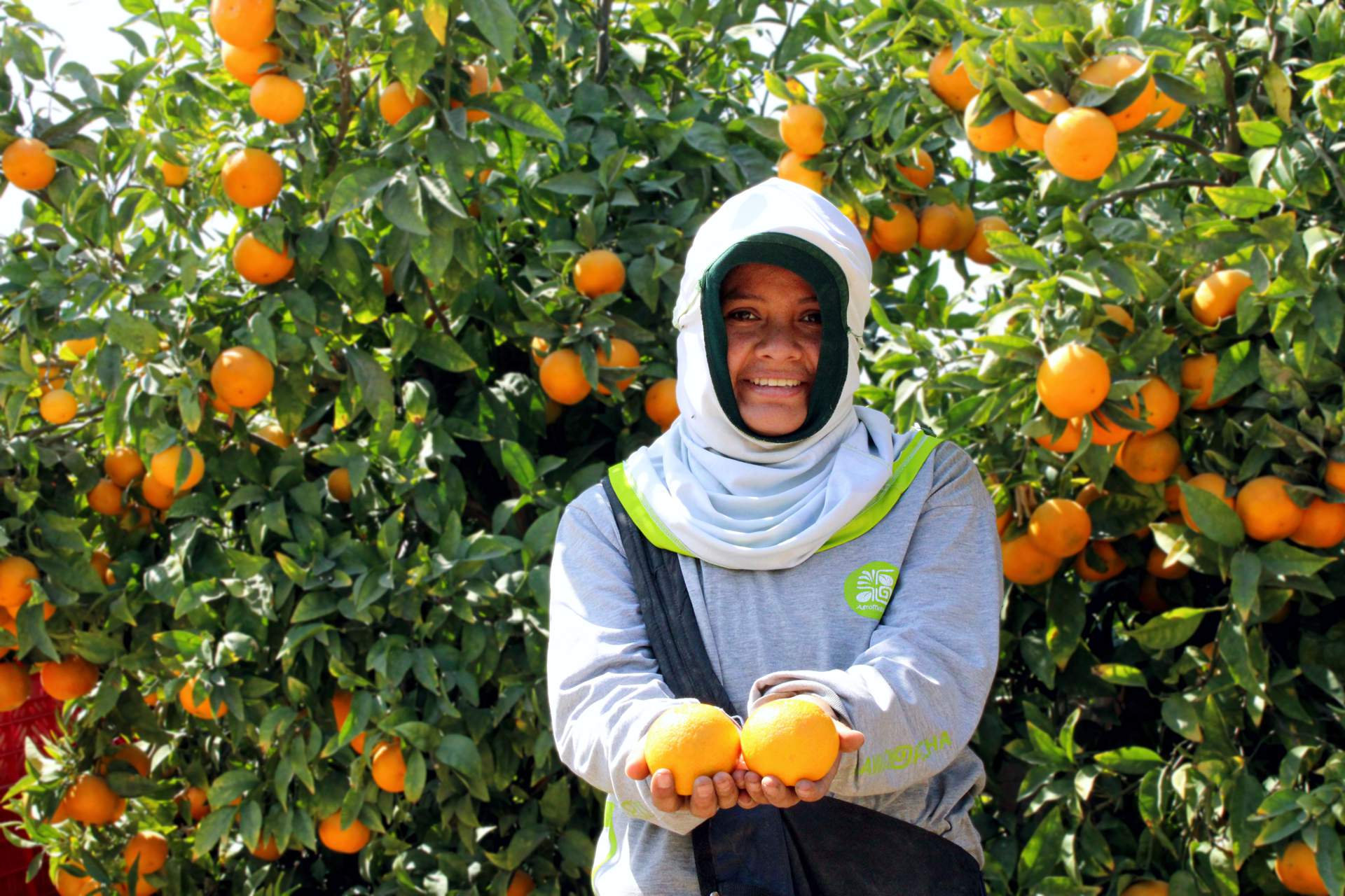 About Us - Joy Produce